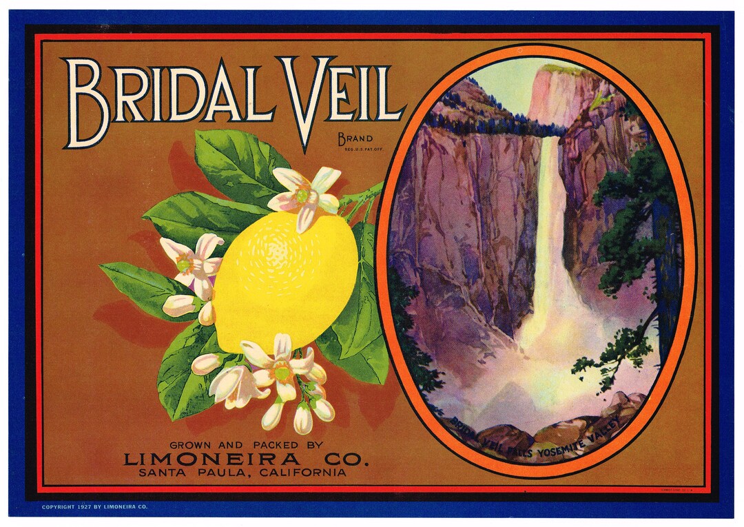 Original Vintage Citrus Crate Label 1930s Limoneira Company Santa Paula ...
