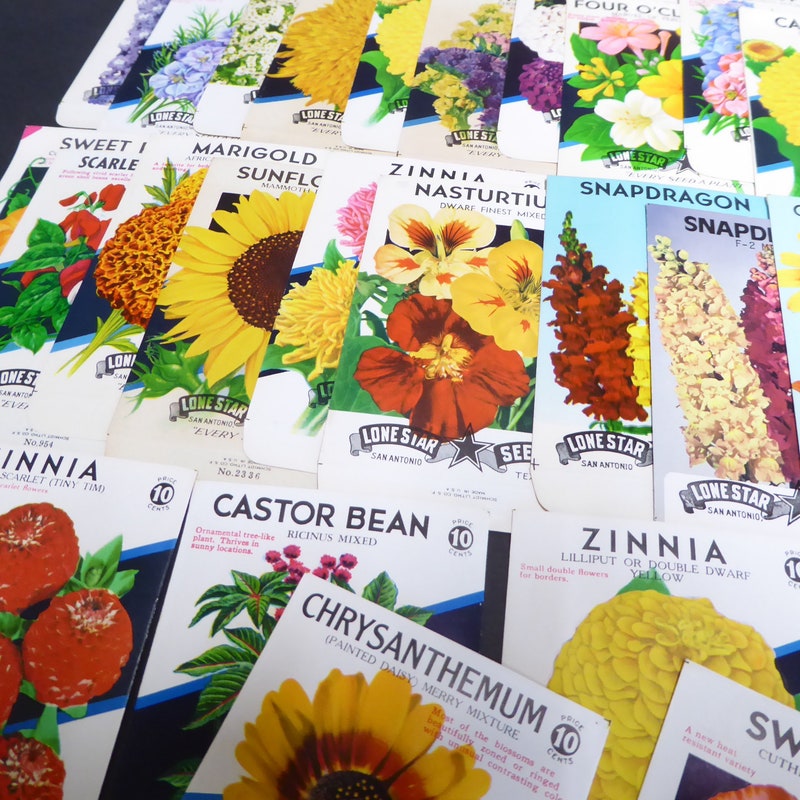 Seed Packets - Etsy