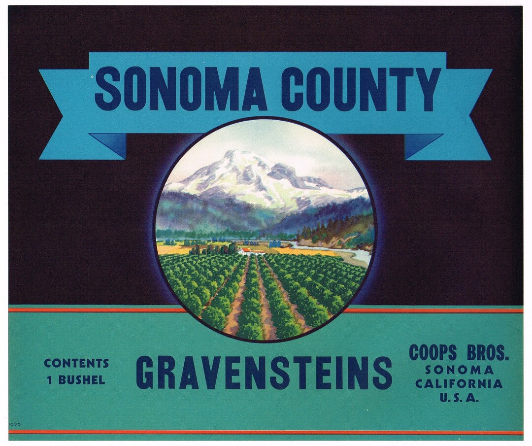 Original Vintage Apple Crate Label 1940s Coops Brothers Sonoma County ...
