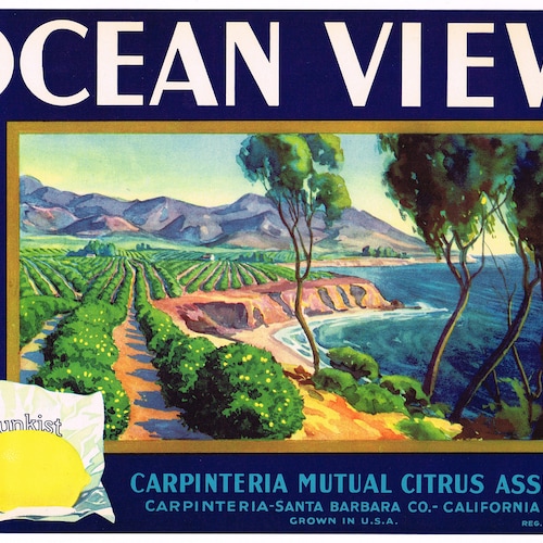 Original Vintage Citrus Crate Label 1930s California Dream - Etsy