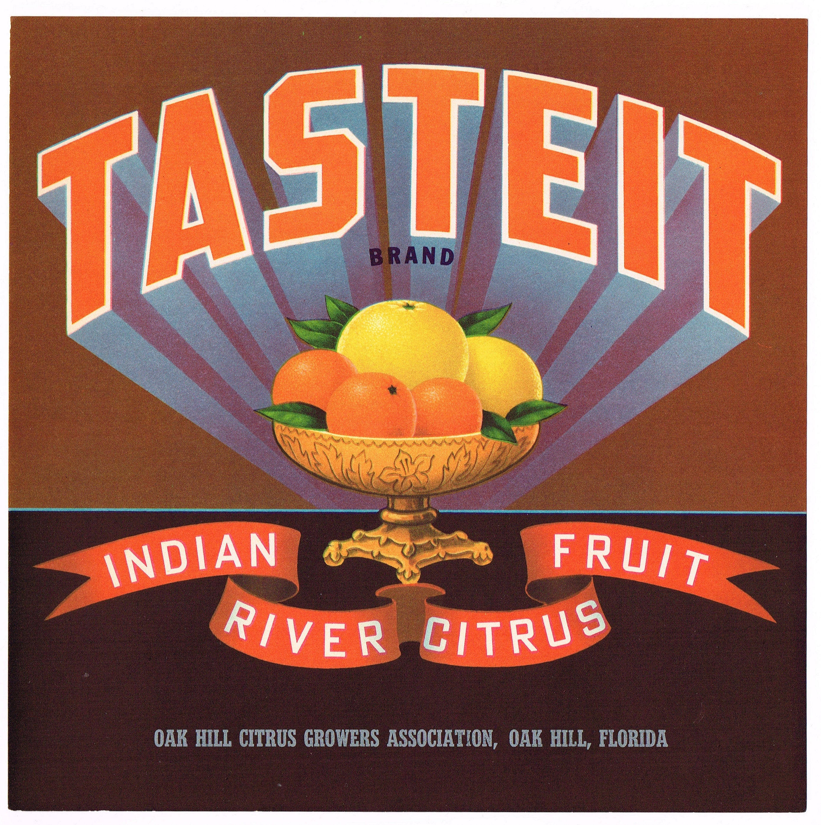 Original Vintage Florida Orange Citrus Crate Label C1930s Tasteit Oak ...