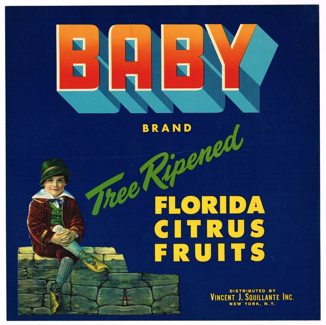 Original Vintage Florida Citrus Crate Label C1930s Baby - Etsy
