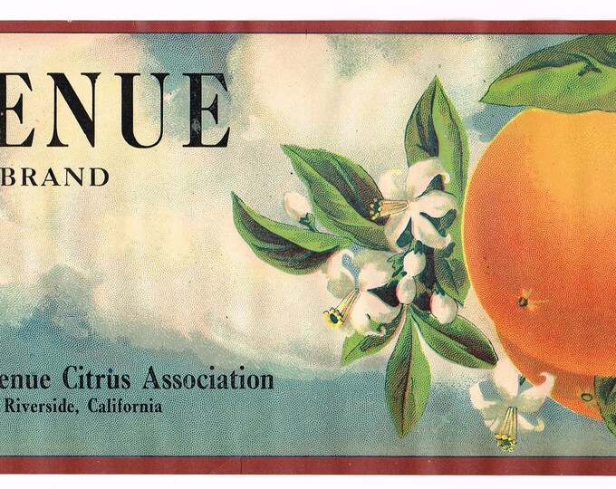 Avenue Orange Crate Label Riverside County California Victoria Euclid ...
