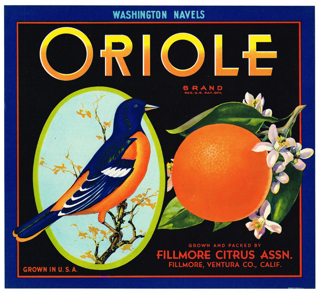 Original Vintage Citrus Crate Label 1930s Scarce Oriole Bird - Etsy