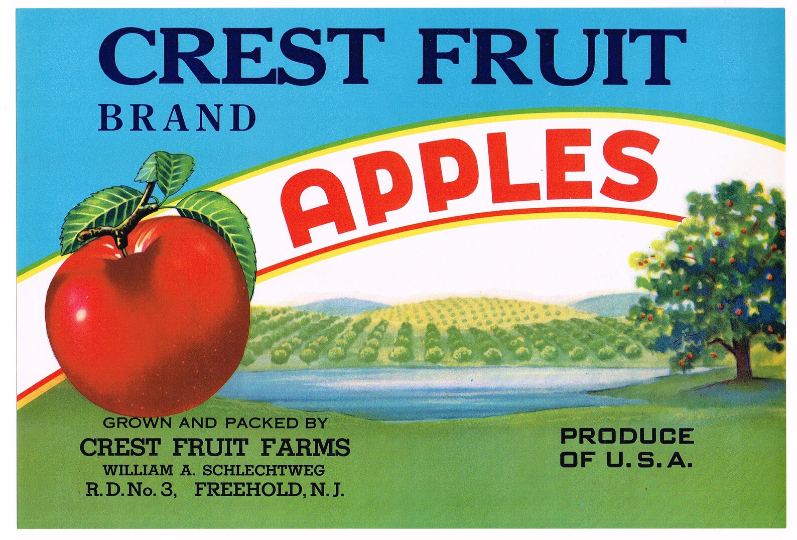 Original Vintage Apple Crate Label 1950s Crest Freehold New Jersey ...