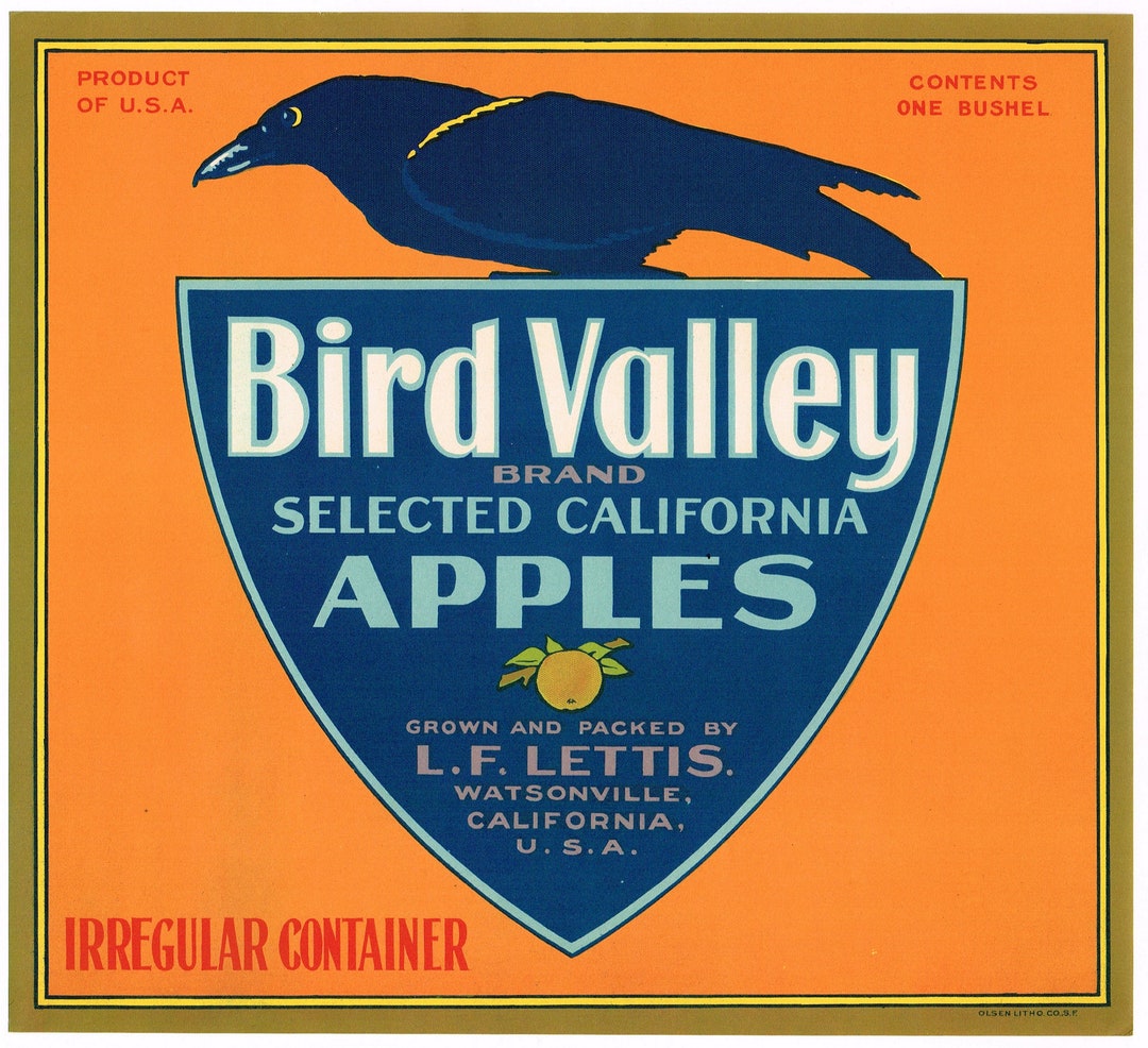Original Vintage Apple Crate Label 1930s Bird Valley Raven Crow ...