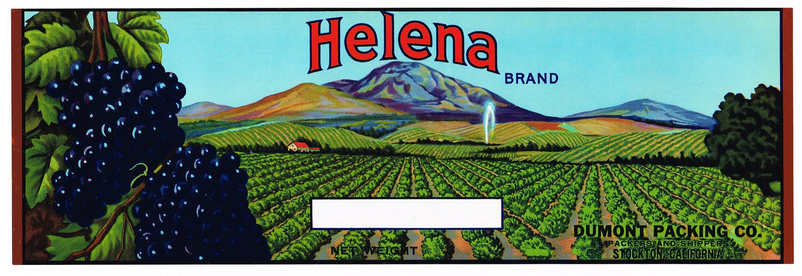 Original Vintage Grape Crate Label 1950s Stockton California Helena ...