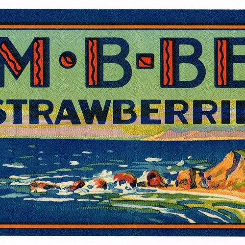Original Vintage Strawberry Crate Label 1950s Truway - Etsy