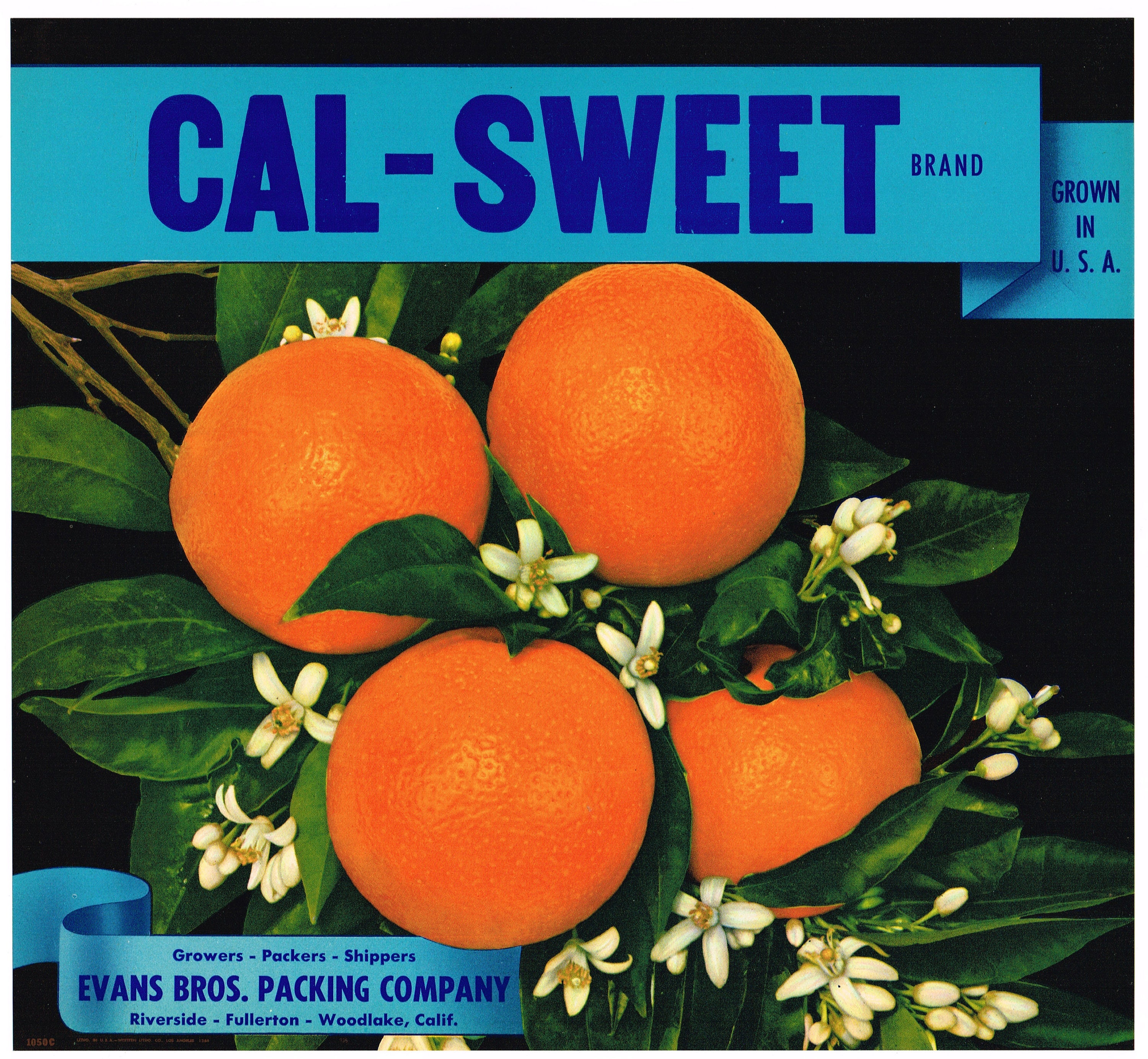 Original Vintage Citrus Crate Label 1950s Cal Sweet Riverside Fullerton ...