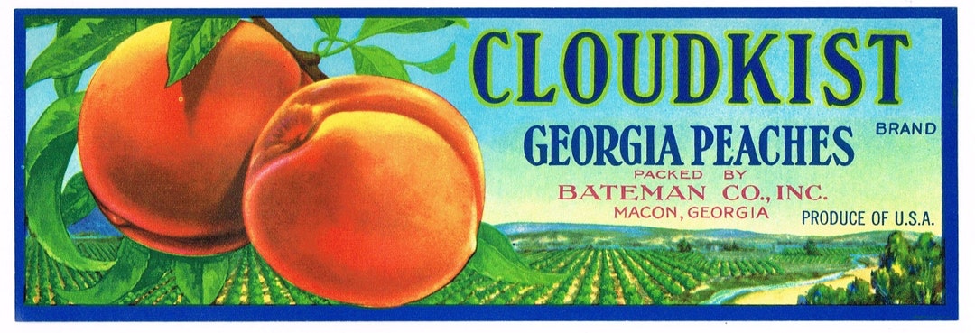 Original Vintage Peach Crate Label C1950s Cloudkist Macon Georgia 7.5x2 ...