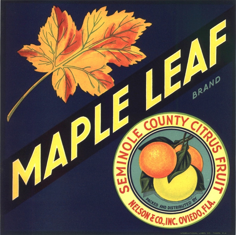 Original Vintage Florida Citrus Crate Label C1930s Maple Leaf Fall ...