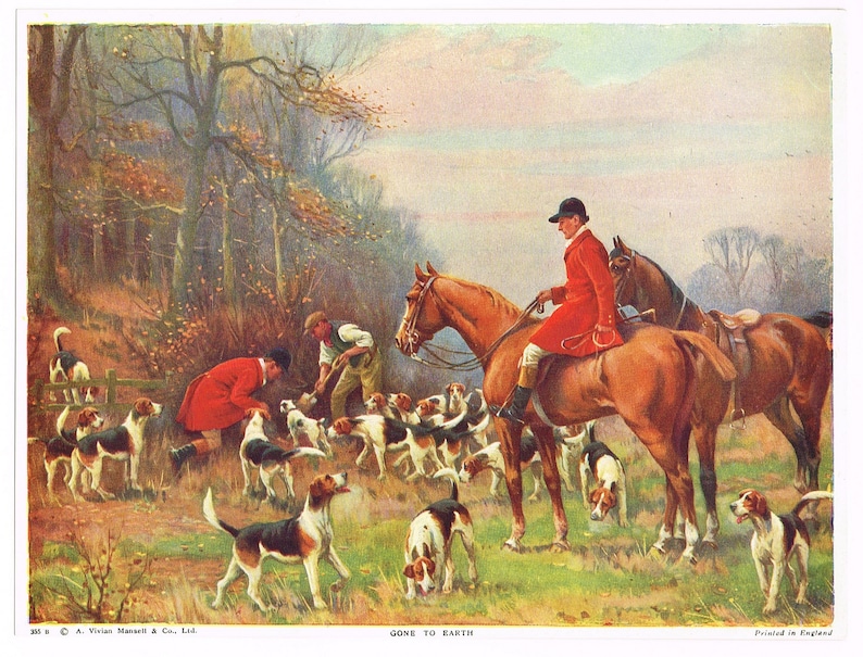 Original Vintage Art Print 1930s Fox Hunting Foxhounds Dog Vivian ...