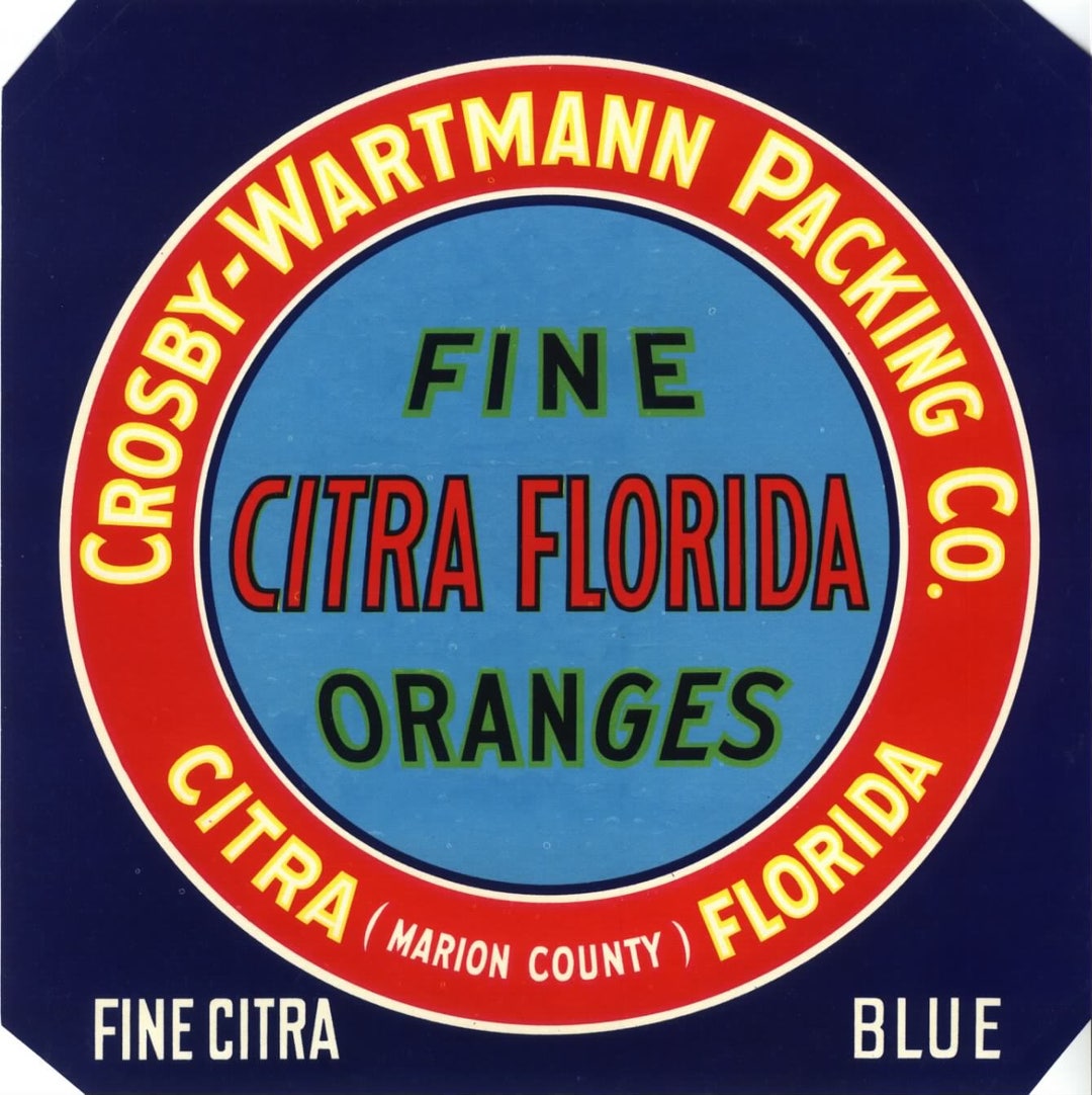Original Vintage Florida Citrus Crate Label C1930s Citra Marion County ...