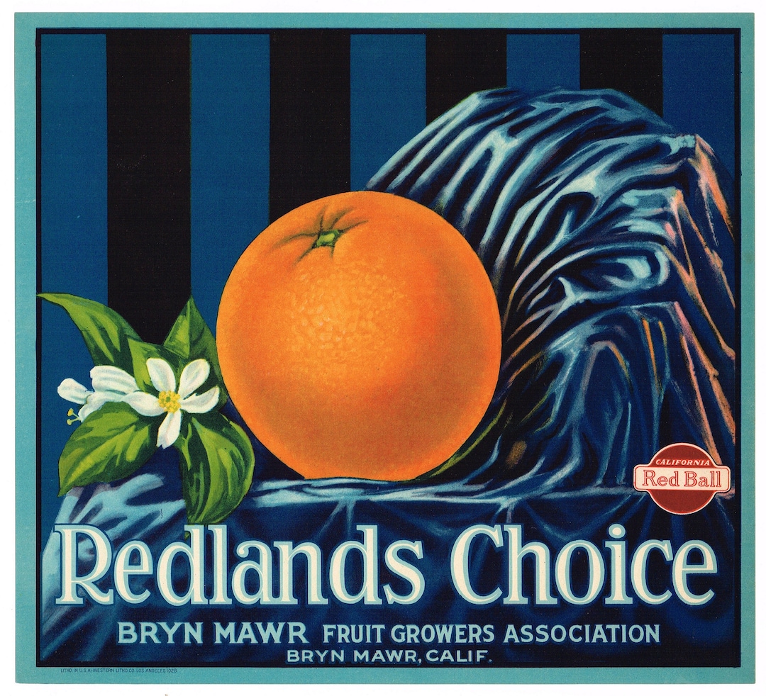 Original Vintage Orange Citrus Crate Label 1928 Redlands Choice Bryn ...