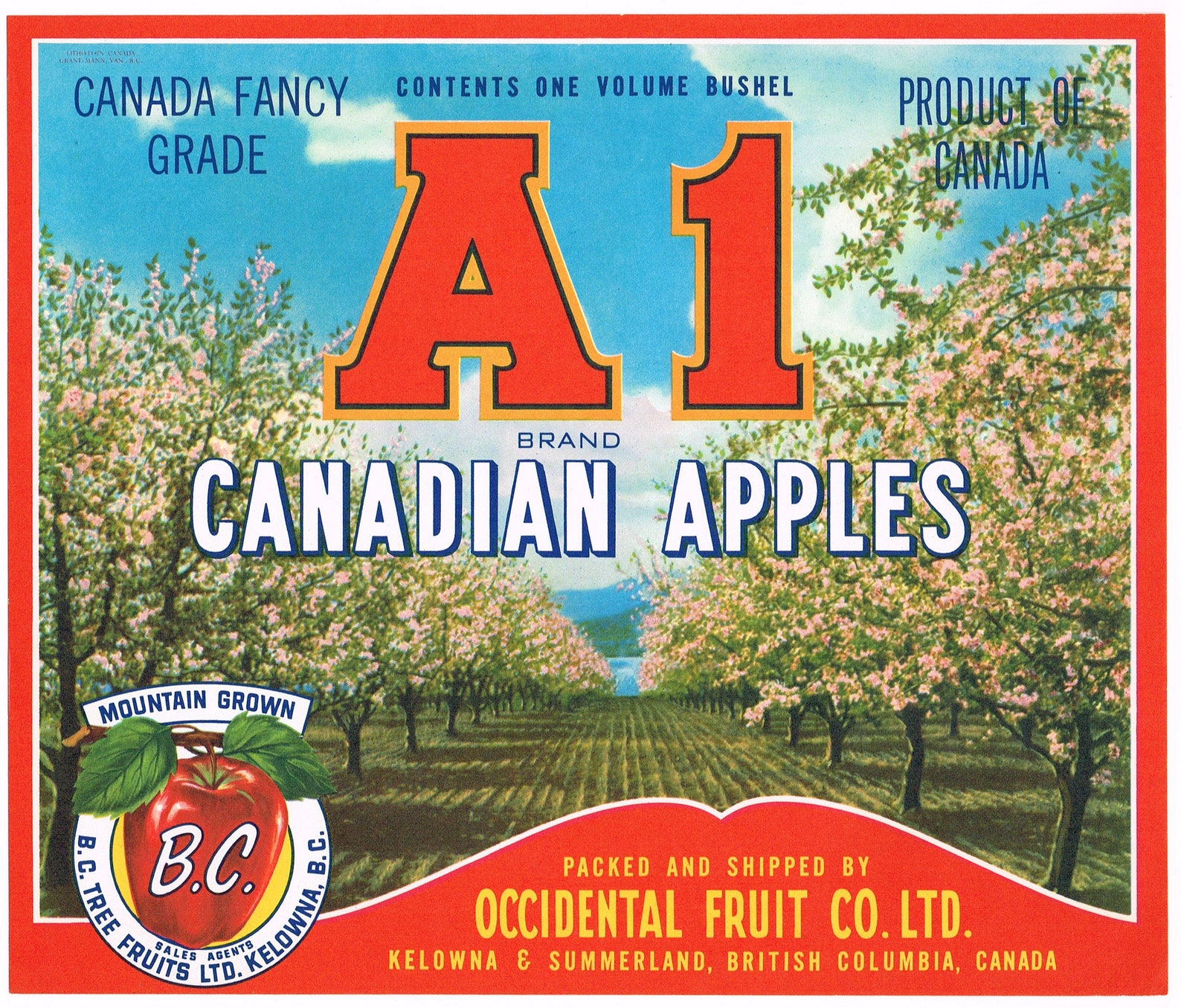 Original Vintage Apple Crate Label 1950s A1 Brand Kelowna Summerland ...