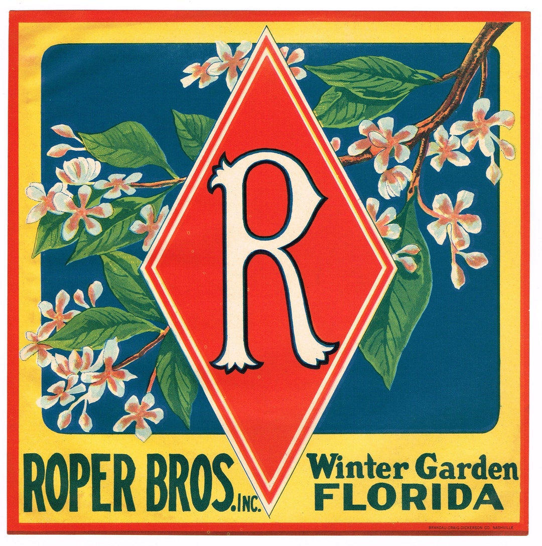Original Vintage Florida Citrus Crate Label C1930s Monogram R - Etsy