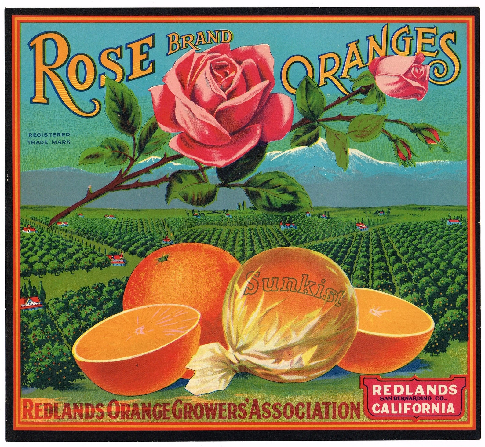 Original Vintage Citrus Crate Label 1930 Rare Rose Brand Redlands ...