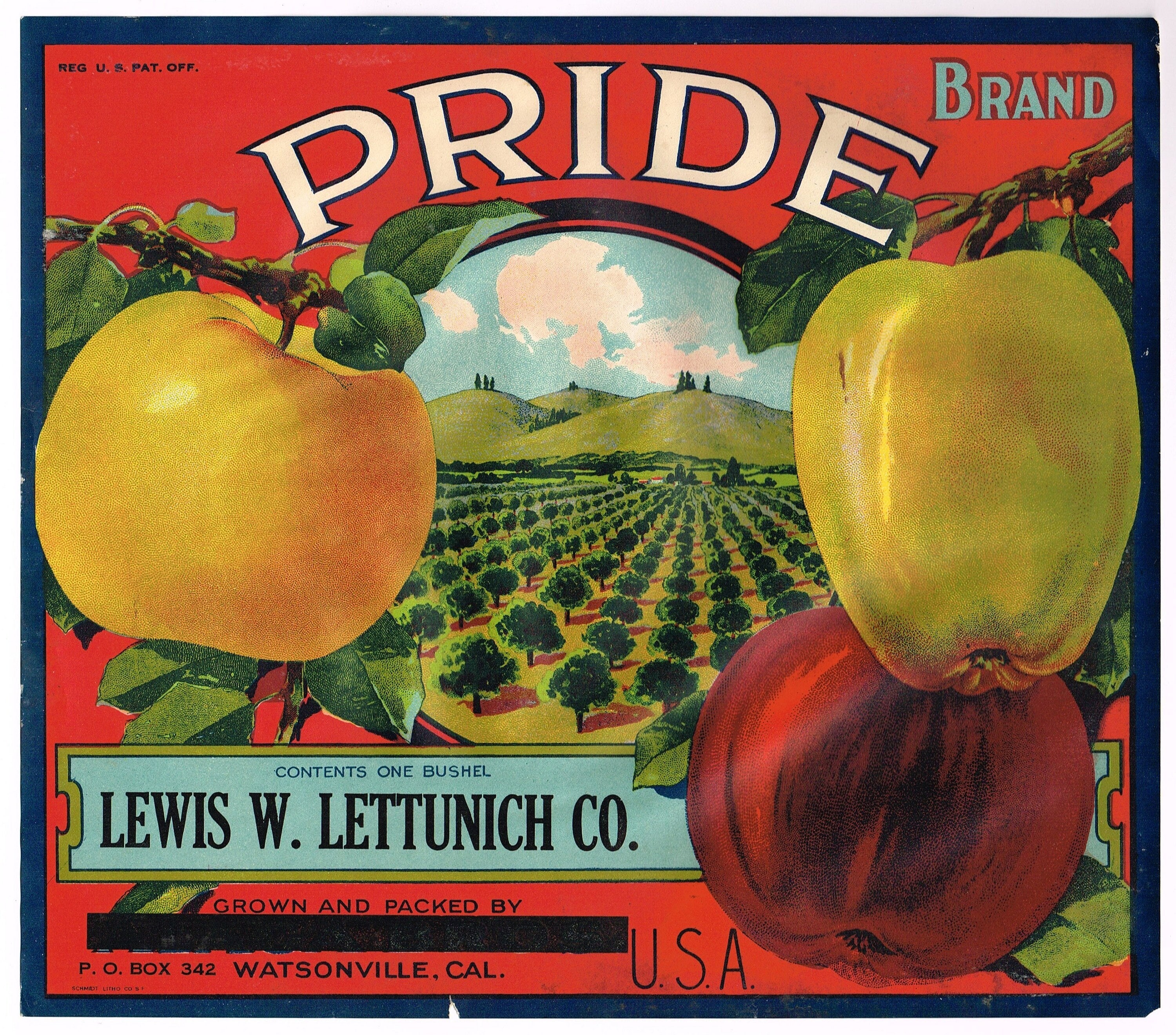 Vintage Apple Labels