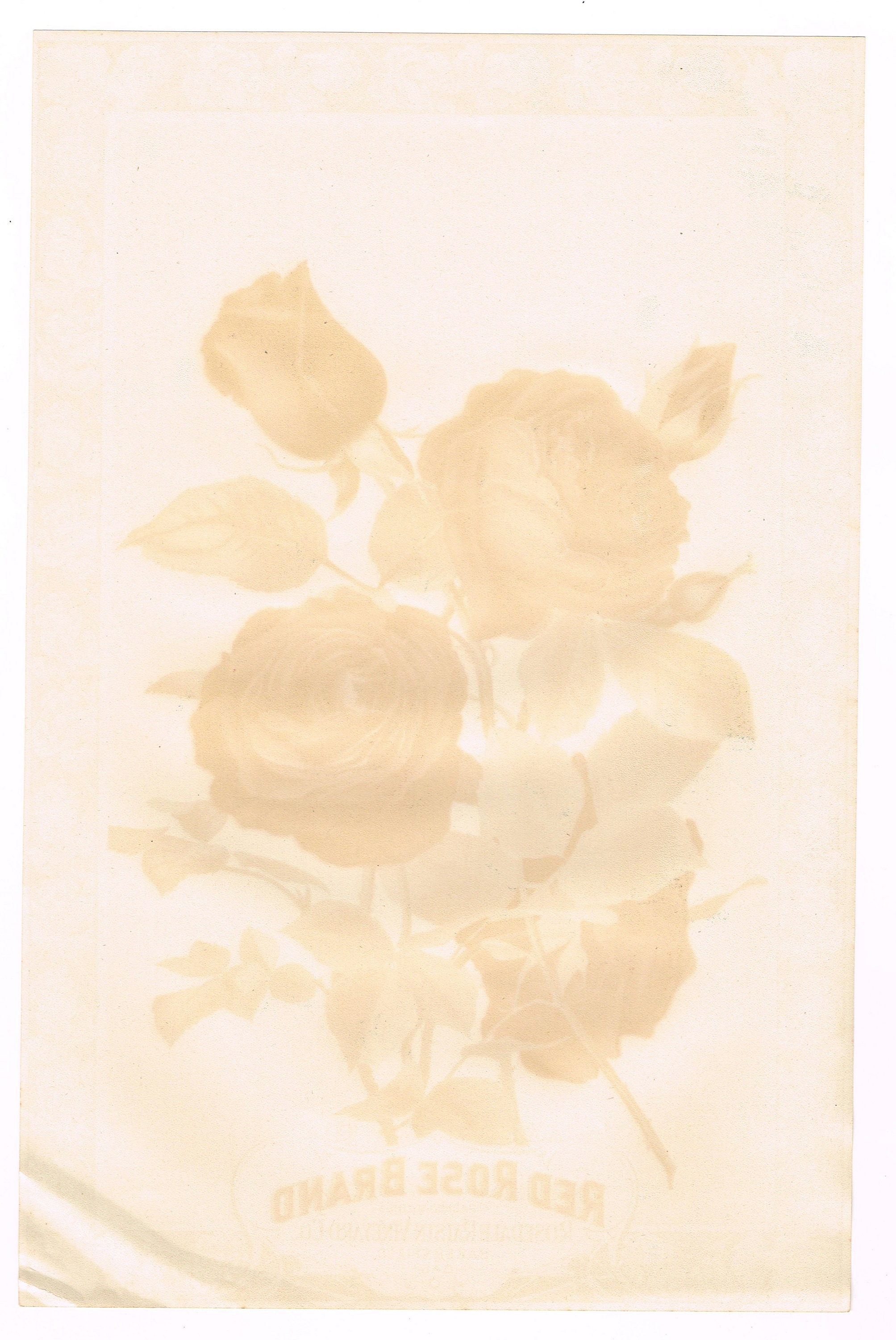 Original Vintage Antique Raisin Crate Label C1890s Red Rose Floral ...