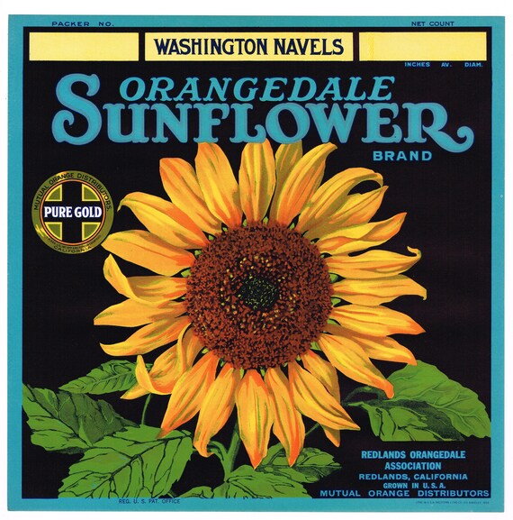 Original vintage orange citrus crate label 1930s Orangedale | Etsy