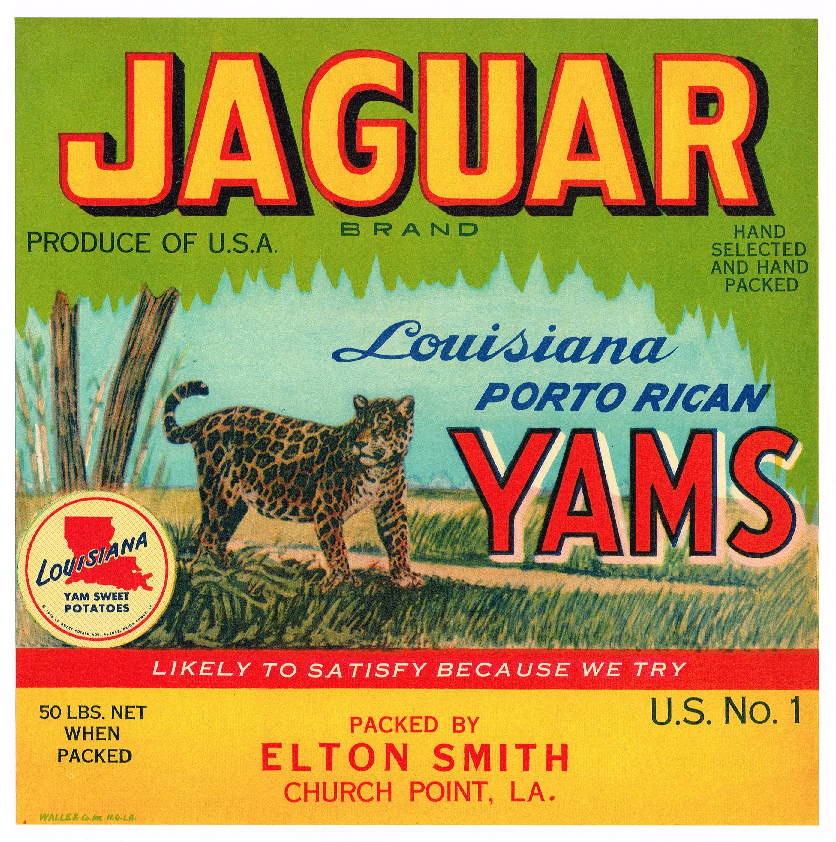 Original Vintage Yam Crate Label 1940s Jaguar Jungle Cat Church Point ...