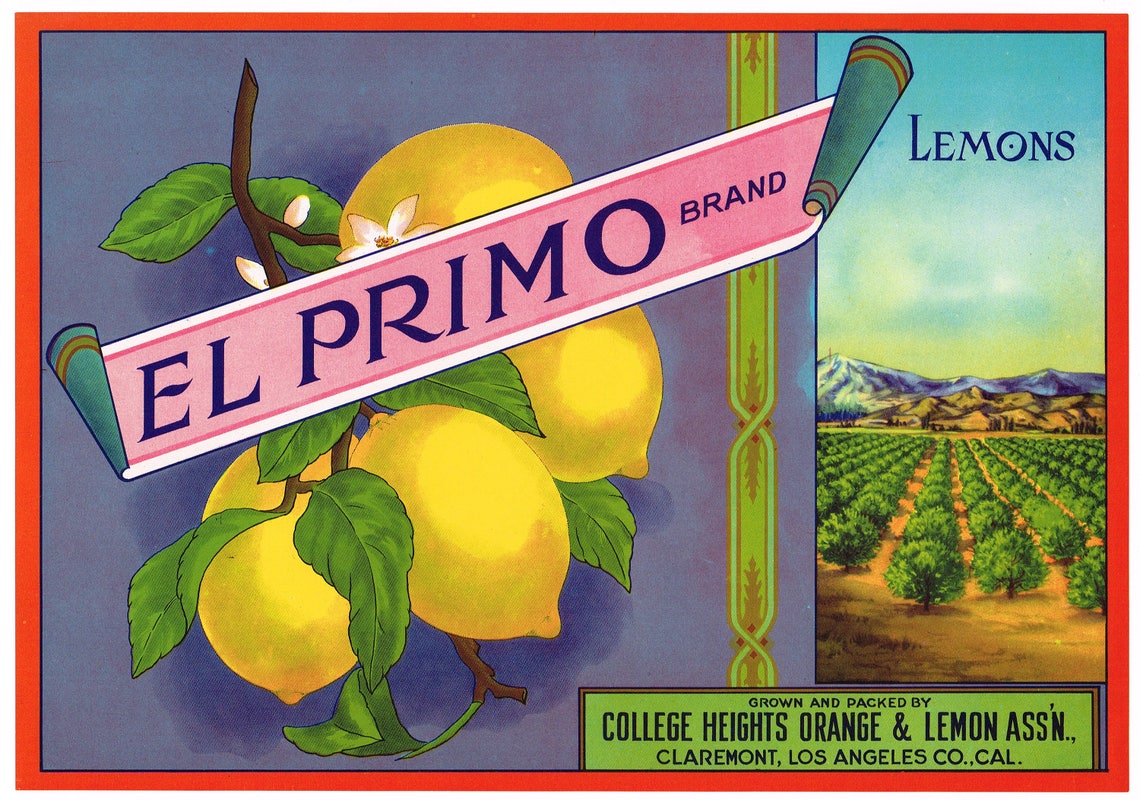Original Vintage Citrus Crate Label 1920s El Primo Claremont California ...