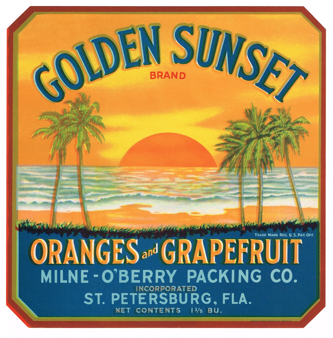 Original Vintage Florida Citrus Crate Label C1930s Golden Sunset ...