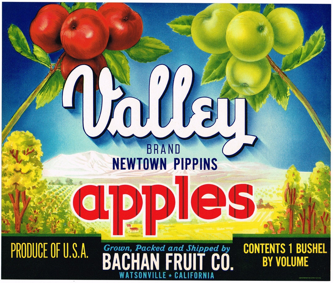 Original Vintage Apple Crate Label 1940s Valley Watsonville Landscape ...