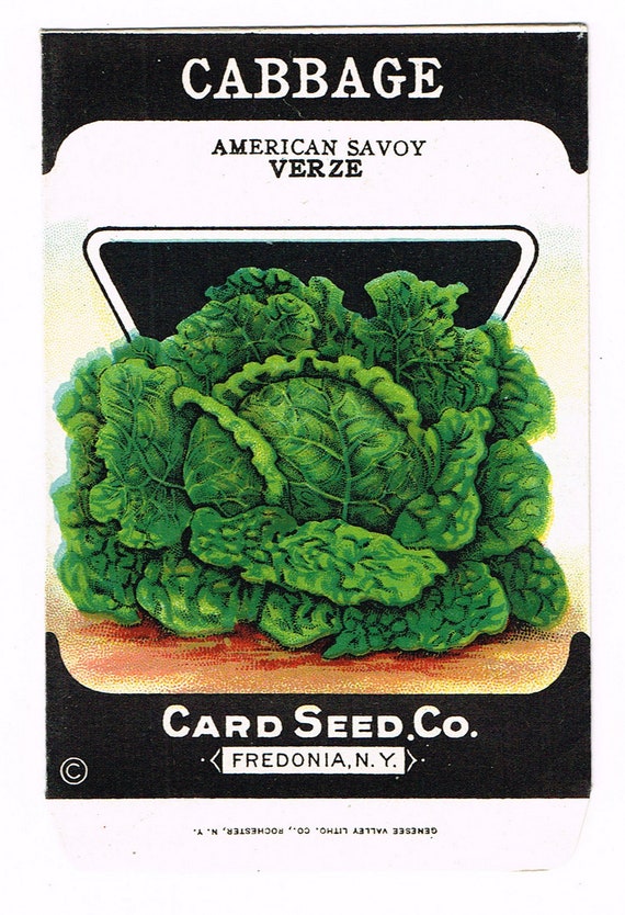 Original Vintage Seed Packet Pack NOS C1920 General Store | Etsy