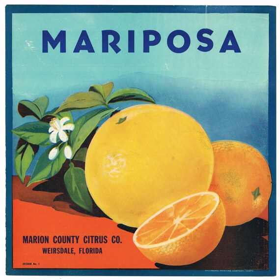 Original Vintage Florida Citrus Crate Label C1930s Mariposa | Etsy