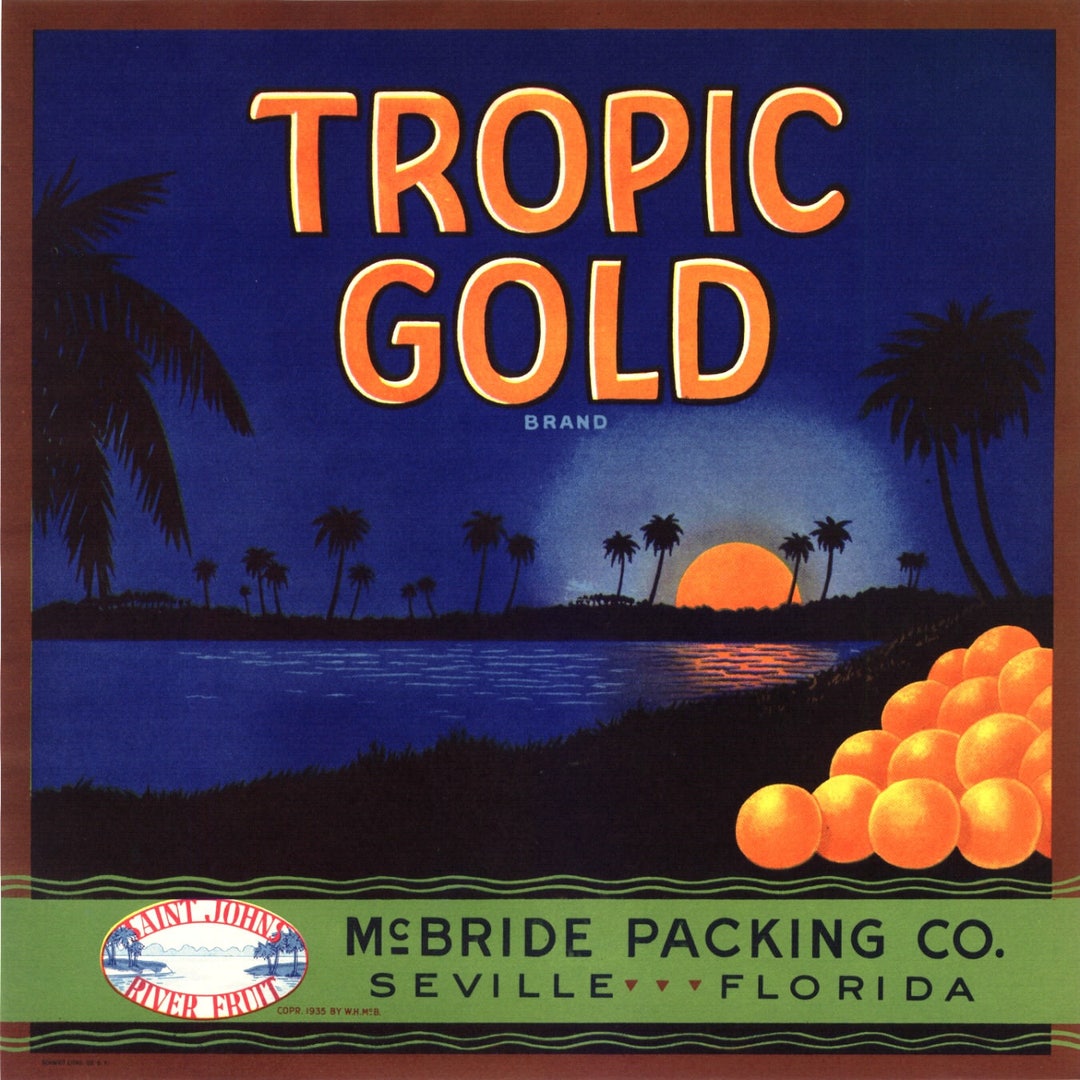 Original Vintage Florida Citrus Crate Label C1930s Tropic Gold Setting ...