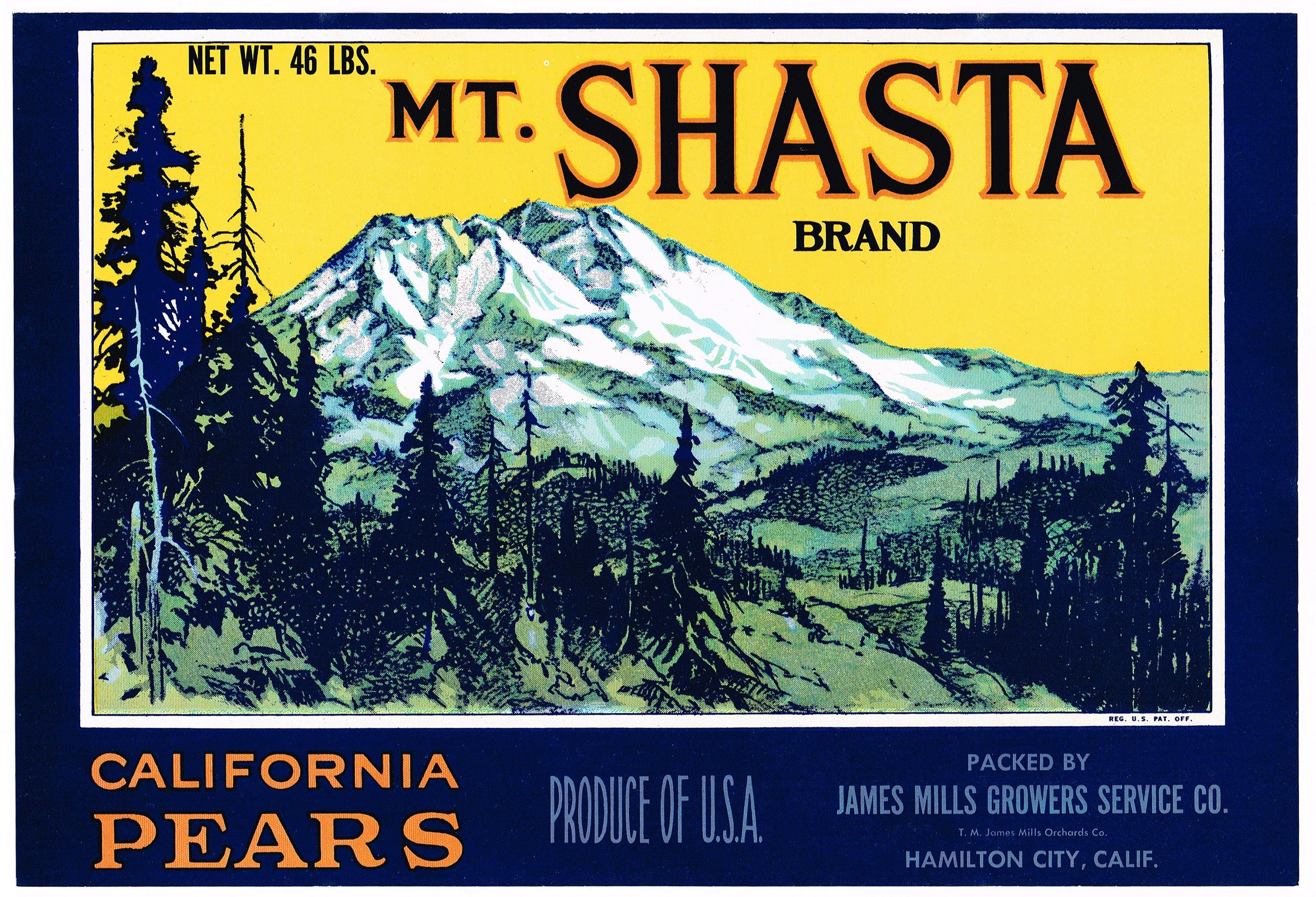 Original Vintage Pear Crate Label 1940s Mt Shasta Hamilton City Butte ...