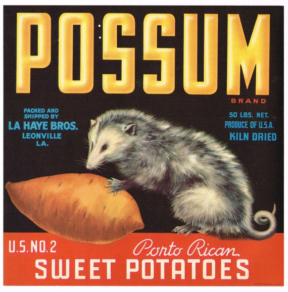 Original Vintage Yam Crate Label 1950s Possum Opossum | Etsy