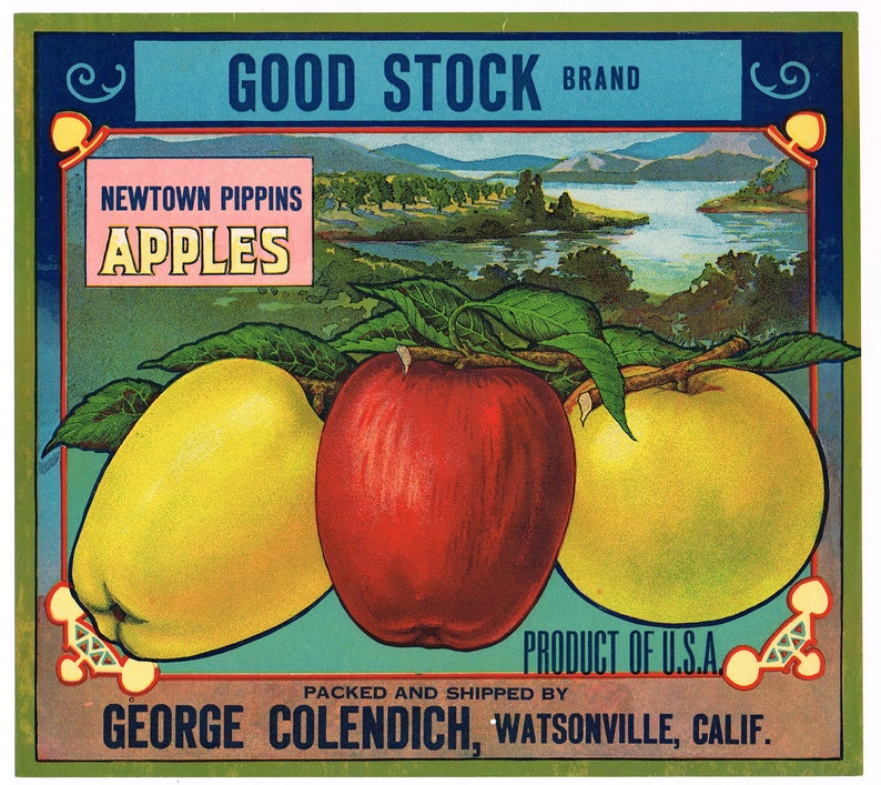 Original vintage apple crate label 1930s Good Stock Brand | Etsy