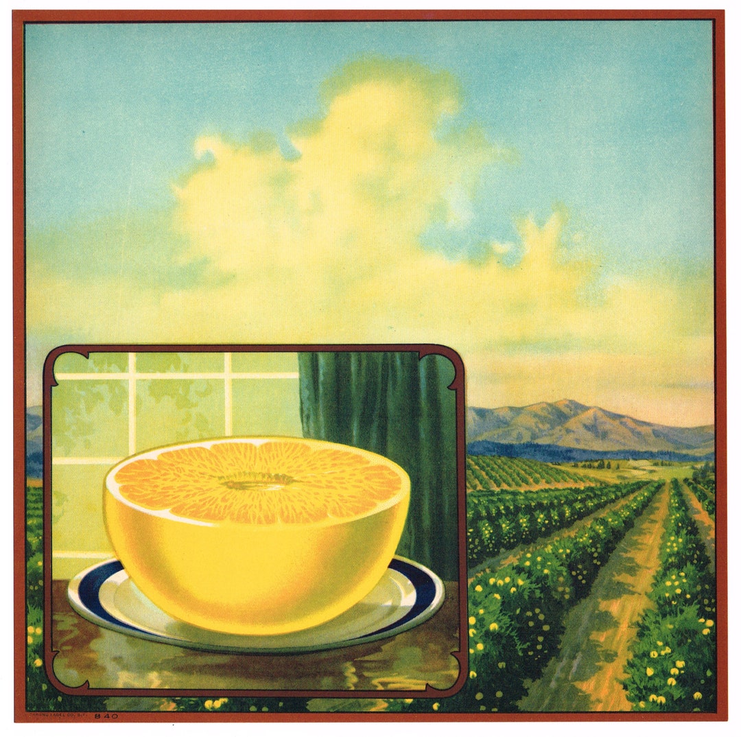 Original Vintage Crate Label 1930s Stock Design for Craft Projects ...