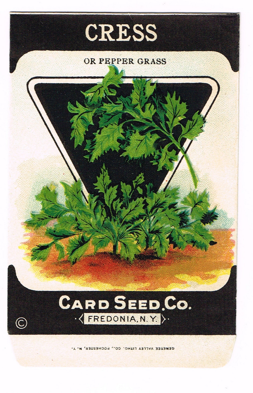 Original Vintage Seed Packet Pack NOS C1920 General Store Garden Folk ...