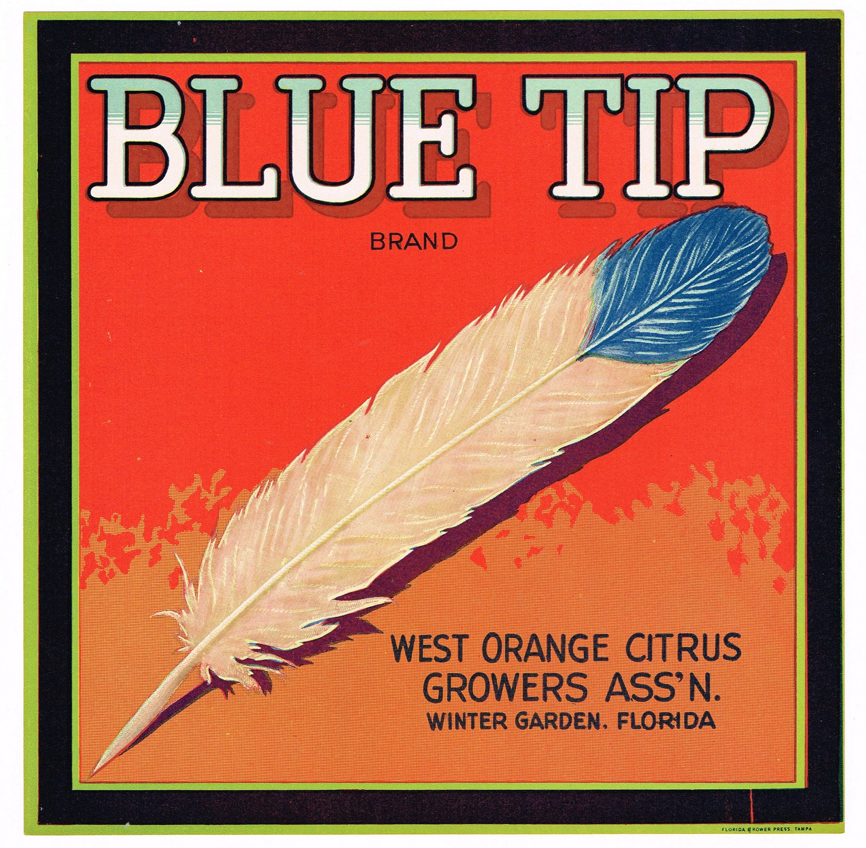 Original Vintage Florida Citrus Crate Label C1940 Blue Tip Feather ...