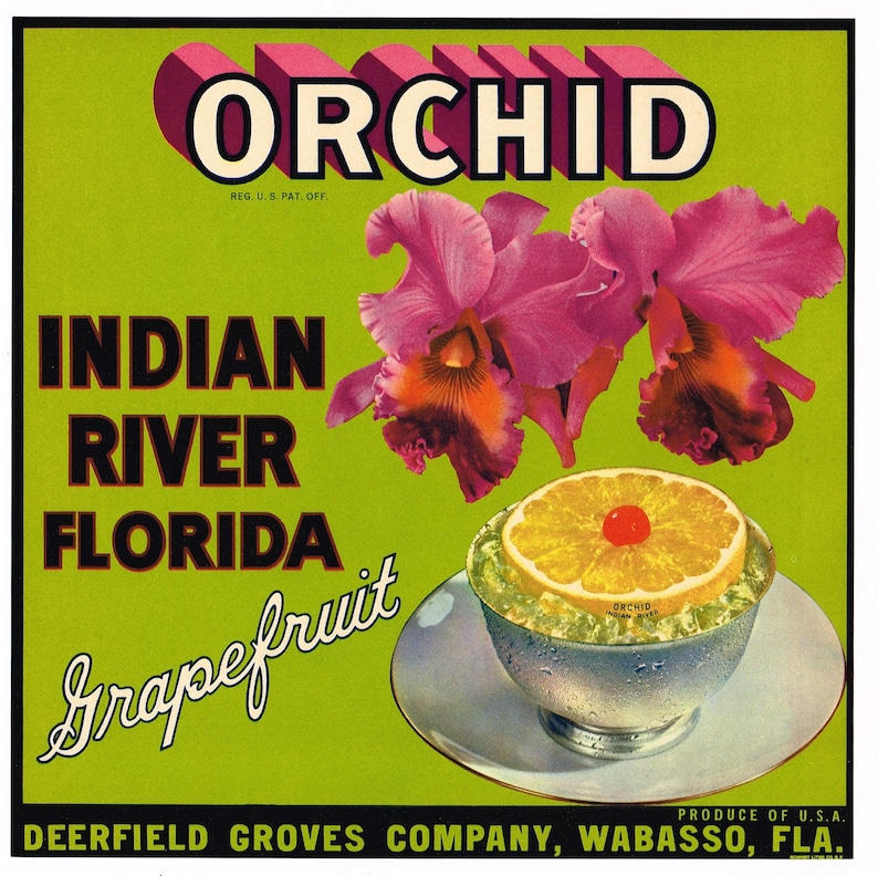 Original Vintage Florida Citrus Crate Label C1930s Orchid Floral Indian ...
