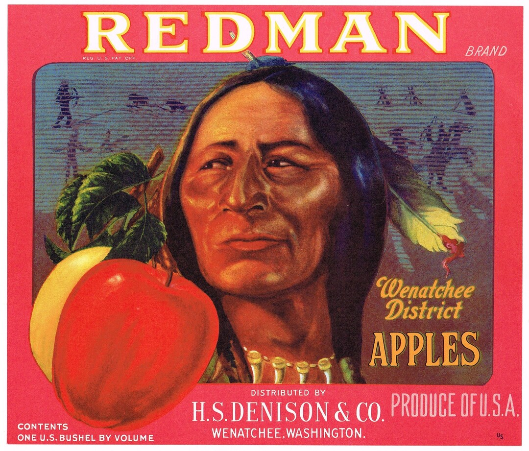 Original Vintage Apple Crate Label C1940s Native American Indian ...