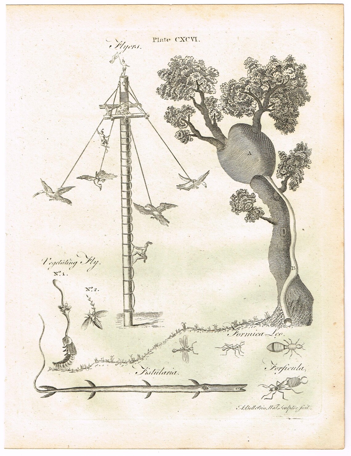 Antique 1797 Original Copper Plate Print on Laid Paper Science ...