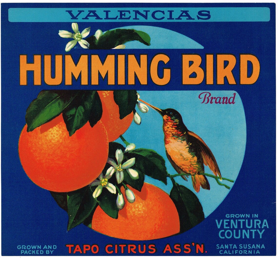 Original Vintage Citrus Crate Label 1930s Humming Bird Santa - Etsy