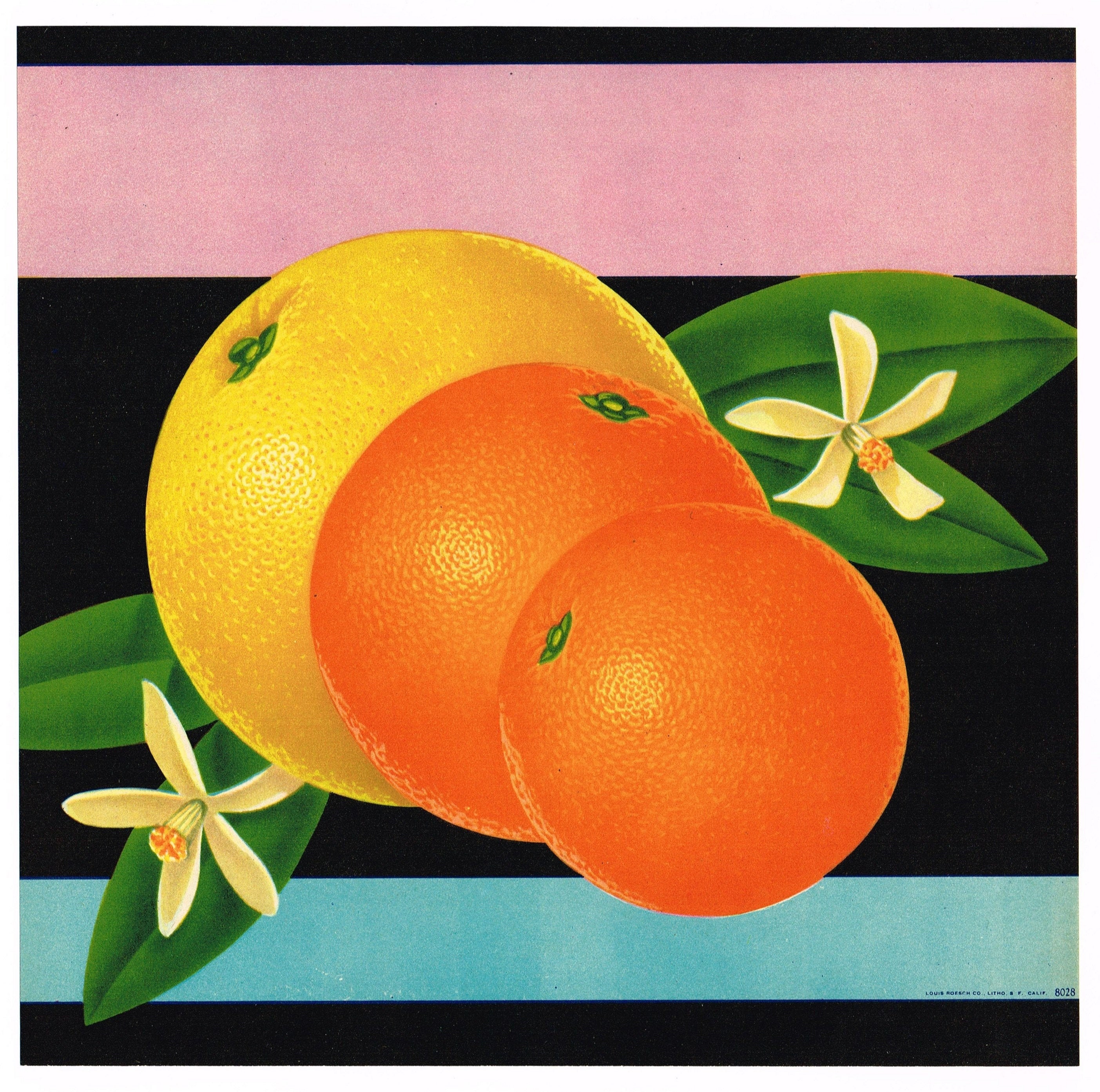 Florida Fruit Crate Art