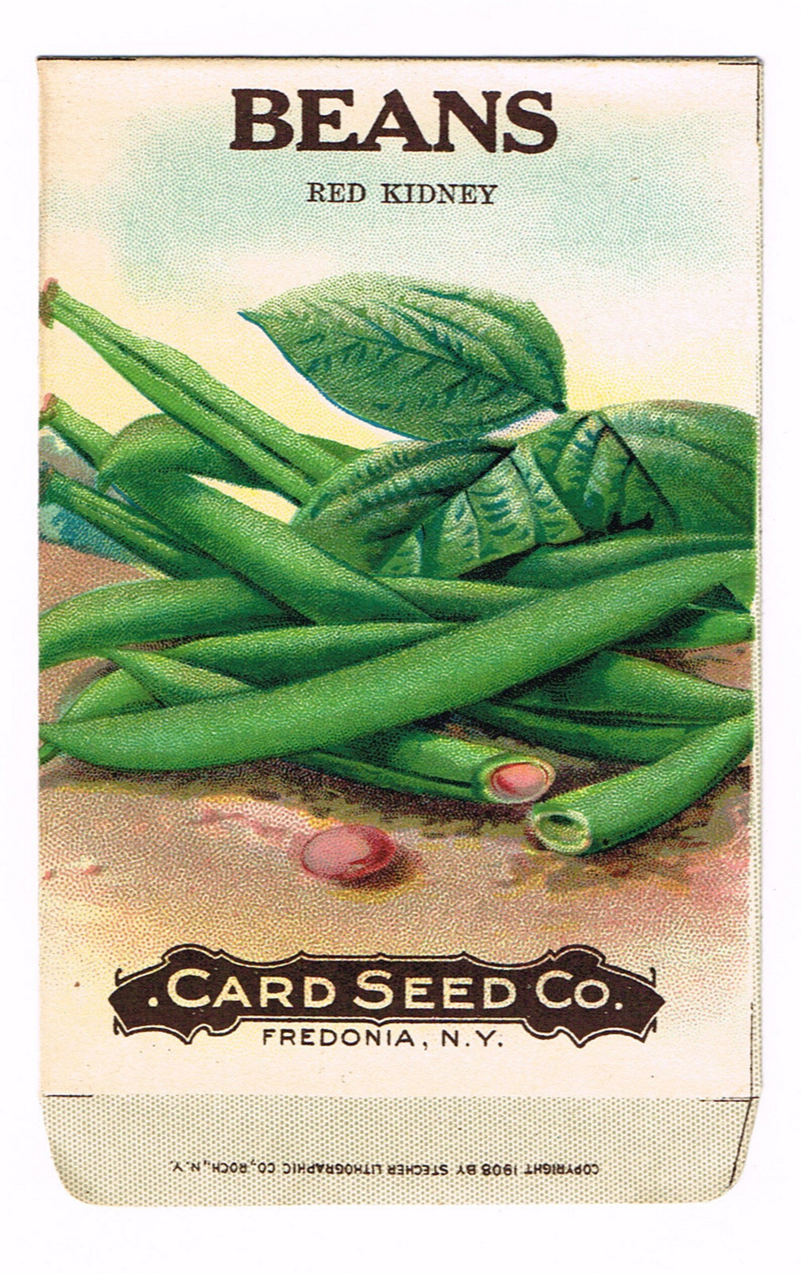 Original Vintage Chromolithographed Seed Packet Pack NOS C1920 General ...