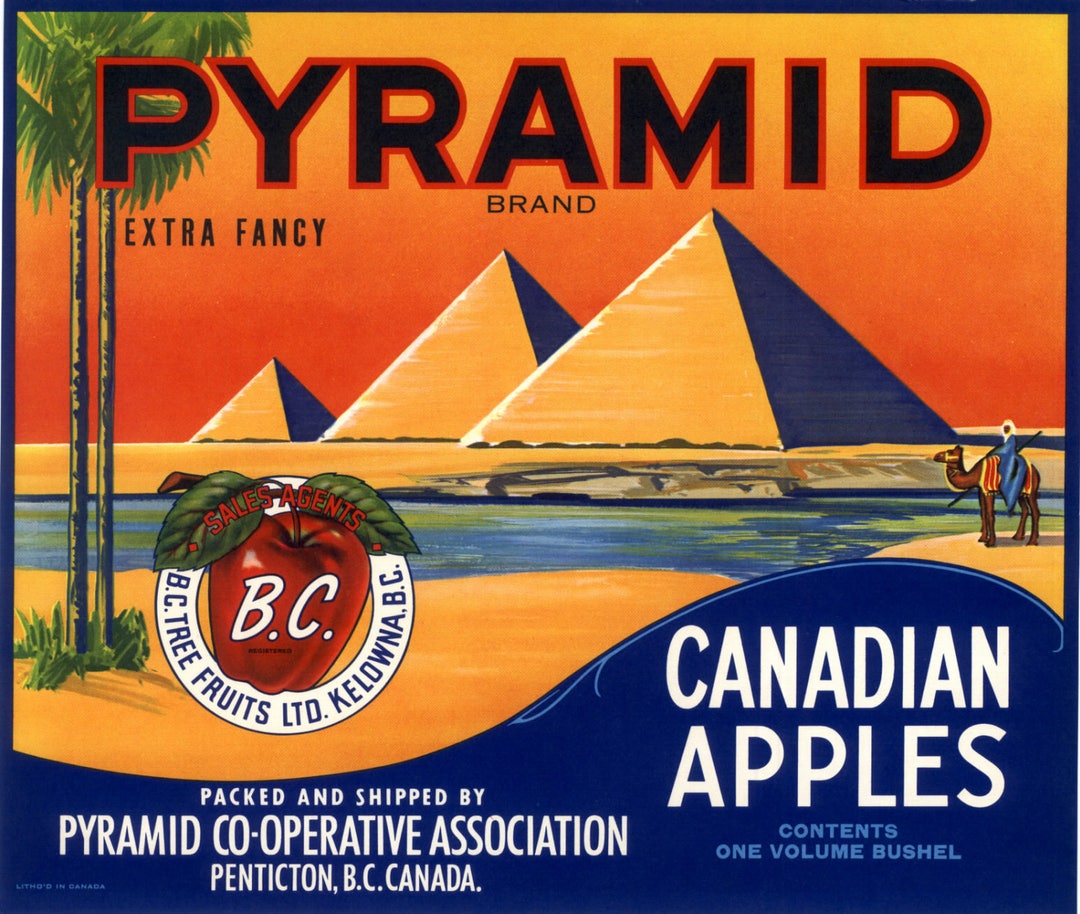Original Vintage Apple Crate Label 1950s Canadian Apples British ...