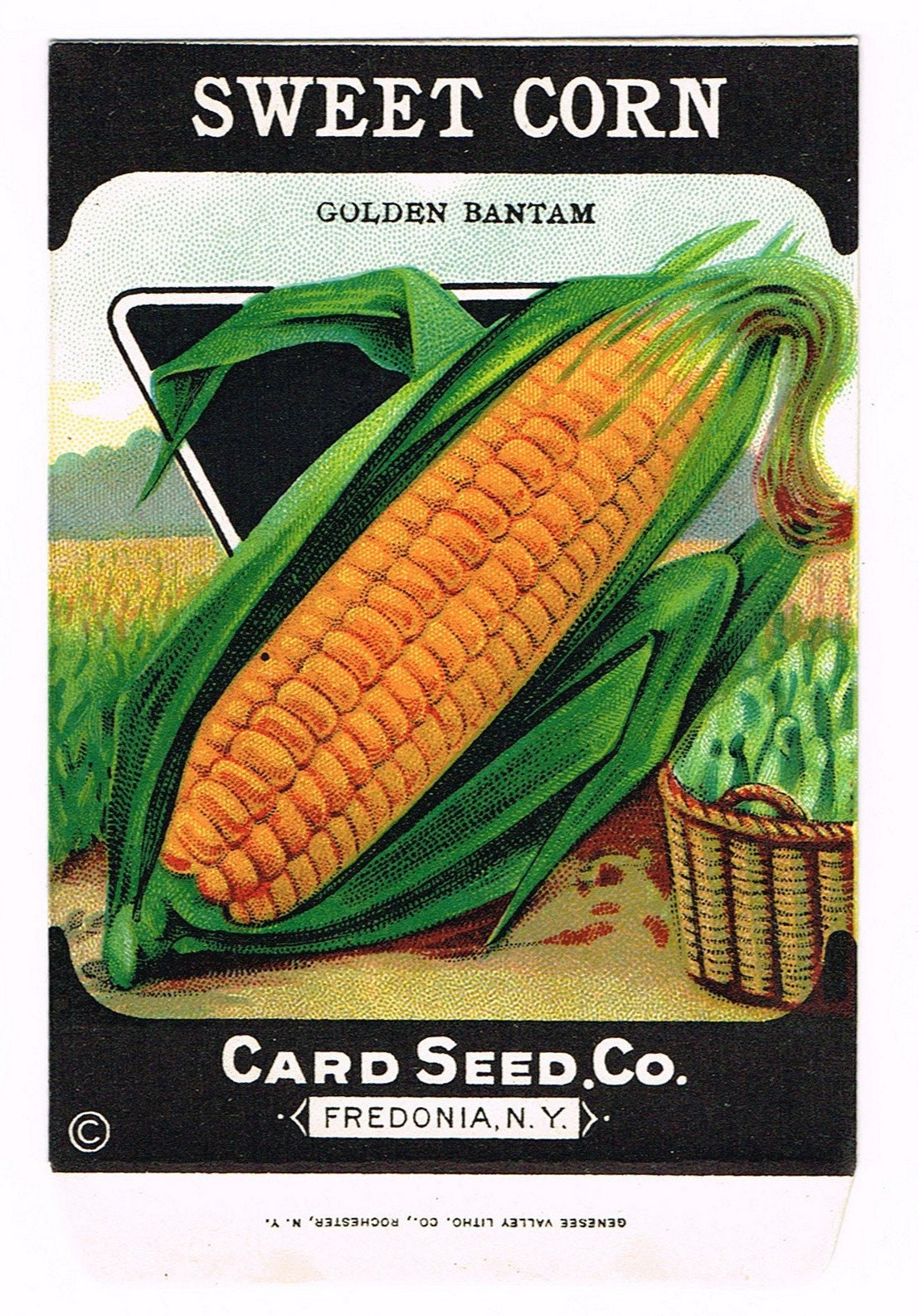 Original Vintage Seed Packet Pack NOS C1920 General Store Garden Folk ...