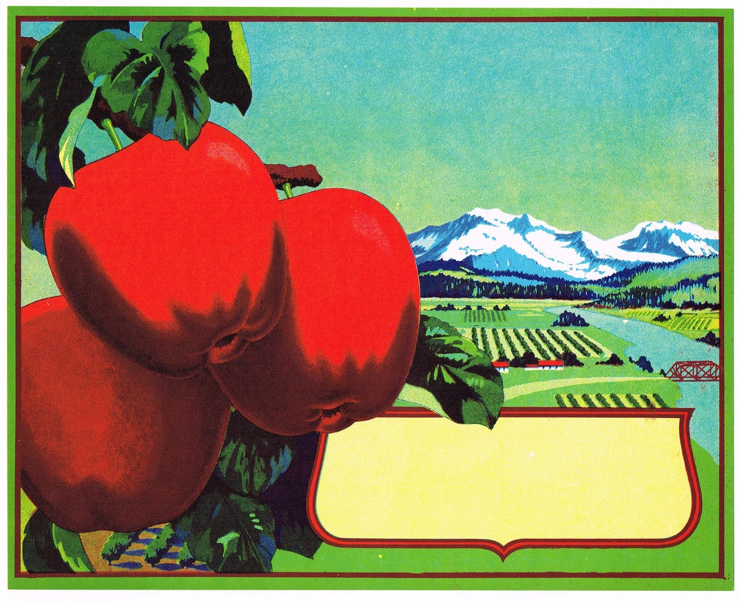 Original Vintage Crate Label 1930s Stock Design for Craft Projects ...
