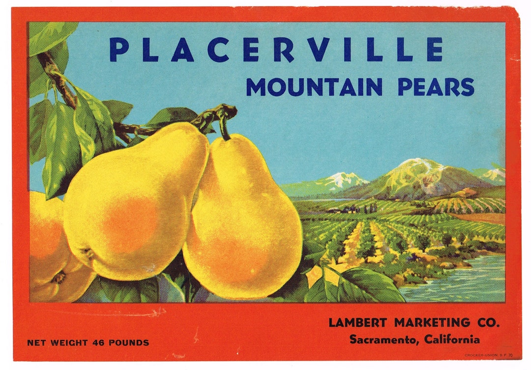 Original Vintage Pear Crate Label 1920s Scarce Placerville Brand ...