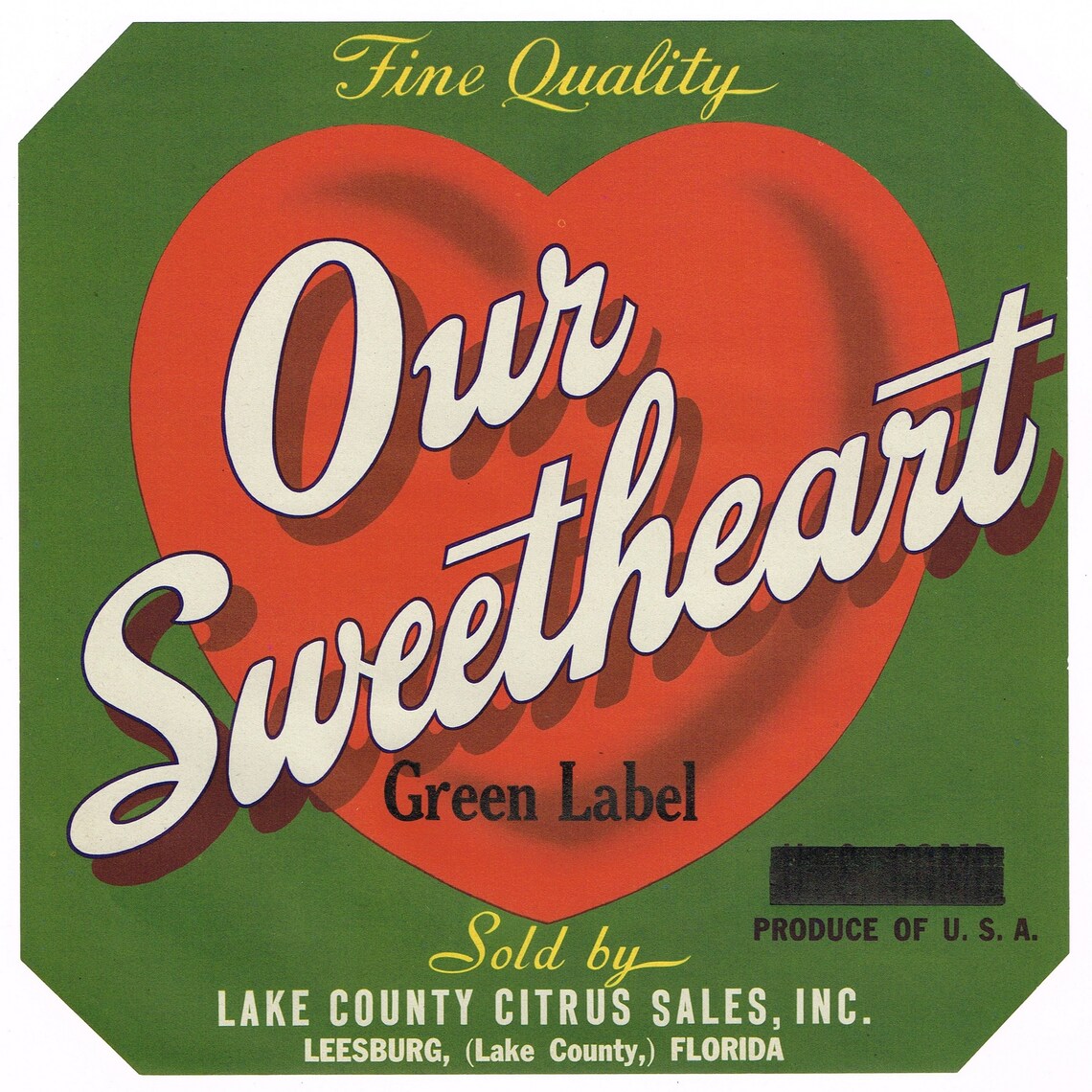 Original Vintage Florida Orange Citrus Crate Label C1940s Our - Etsy