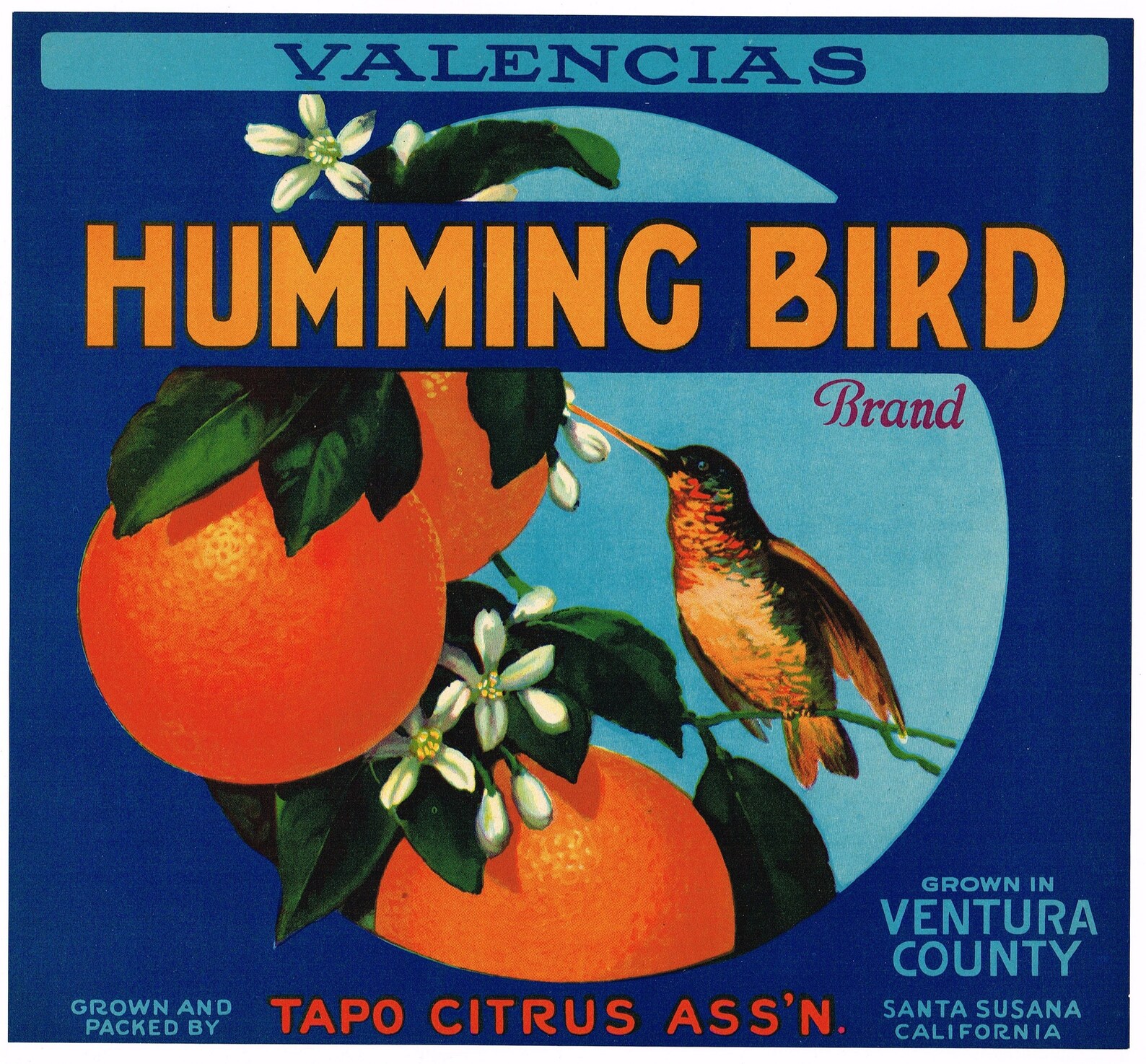 Original Vintage Citrus Crate Label 1930s Humming Bird Santa - Etsy