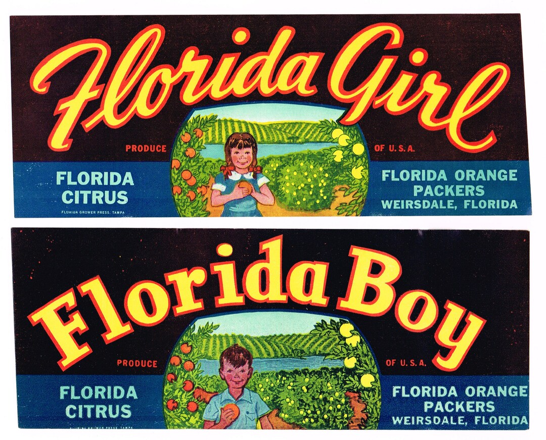 2 Original Vintage Florida Citrus Crate Label C1930s Florida Boy & Girl ...
